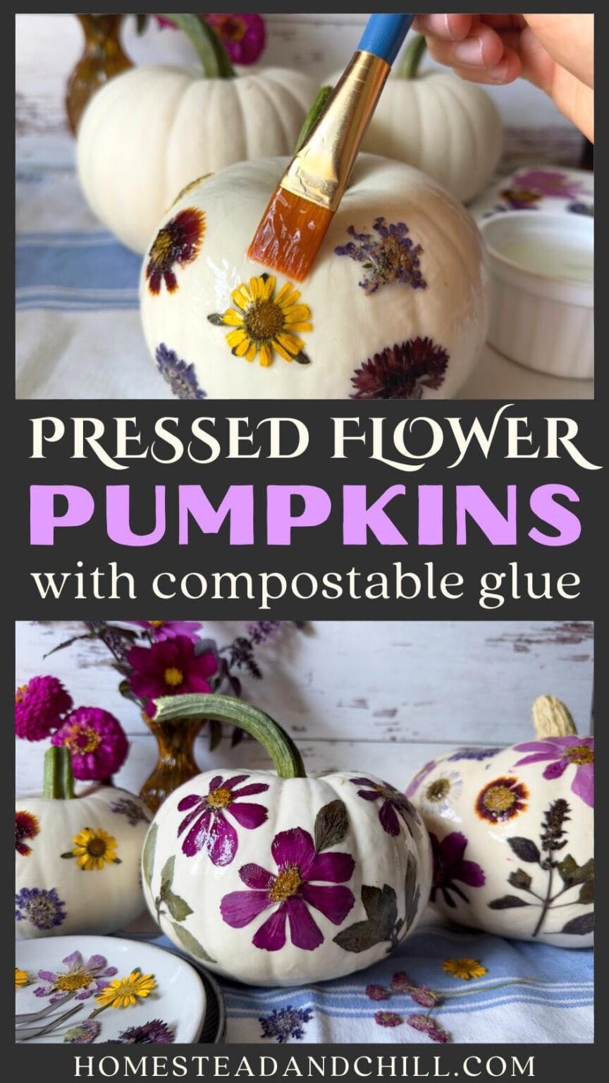 How to Make Pressed Flower Pumpkins: No-Carve Pumpkin Decorating Idea ...
