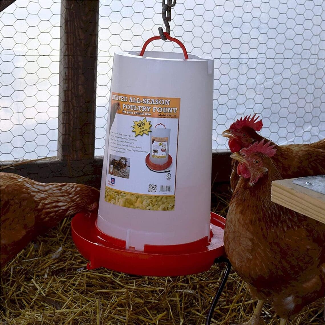 10 Tips on Caring for Chickens in Cold Winter Weather ~ Homestead and Chill