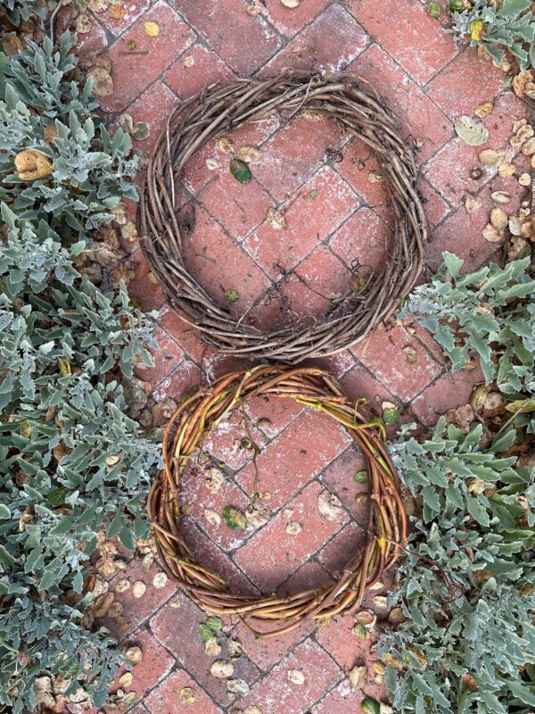 How to Make a DIY Grapevine Wreath (or Other Vines) + Decorating Ideas ...