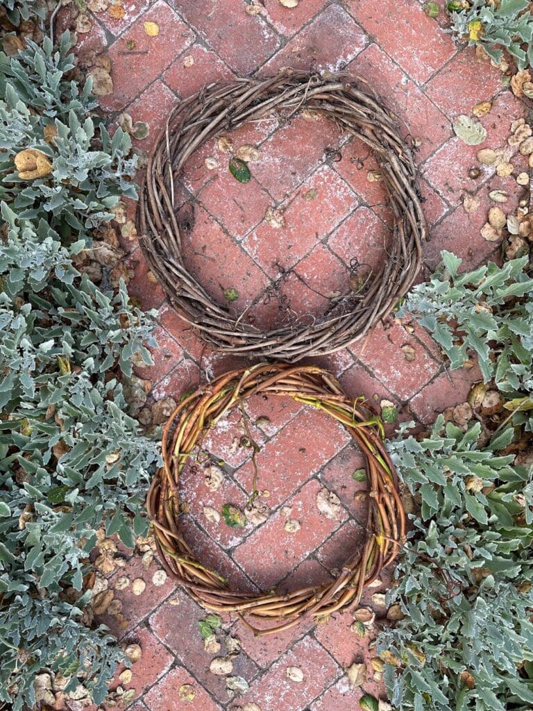 How to Make a DIY Grapevine Wreath (or Other Vines) + Decorating Ideas ...