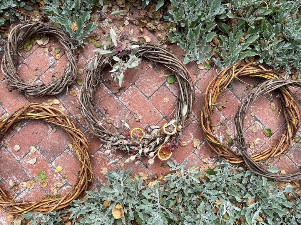 How to Make a DIY Grapevine Wreath (or Other Vines) + Decorating Ideas ...