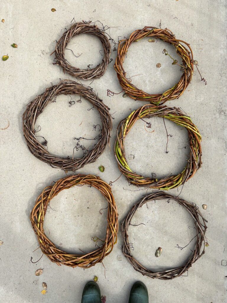 How to Make a DIY Grapevine Wreath (or Other Vines) + Decorating Ideas ...