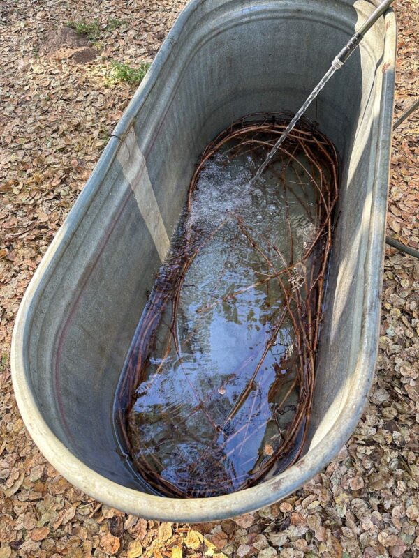 How to Make a DIY Grapevine Wreath (or Other Vines) + Decorating Ideas ...