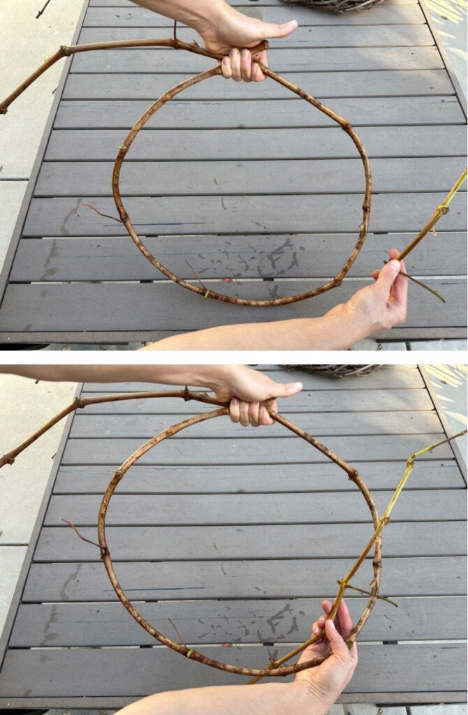 How to Make a DIY Grapevine Wreath (or Other Vines) + Decorating Ideas ...