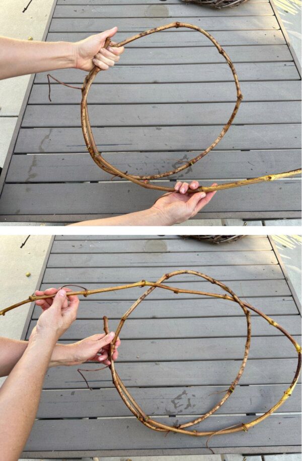 How to Make a DIY Grapevine Wreath (or Other Vines) + Decorating Ideas ...