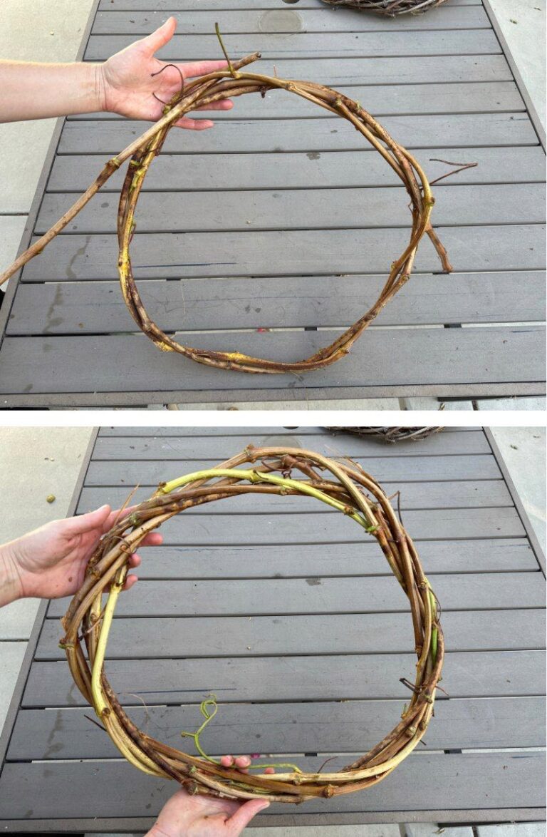 How to Make a DIY Grapevine Wreath (or Other Vines) + Decorating Ideas ...