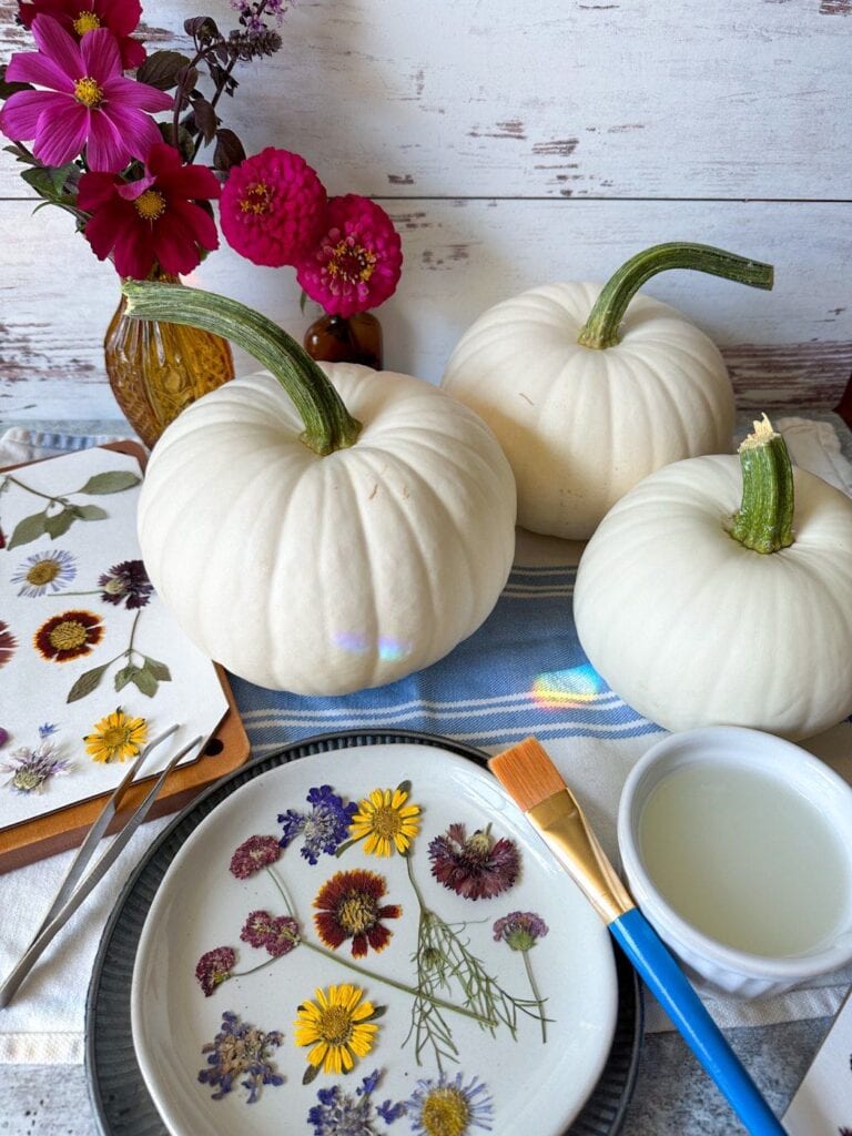 How to Make Pressed Flower Pumpkins: No-Carve Pumpkin Decorating Idea ...