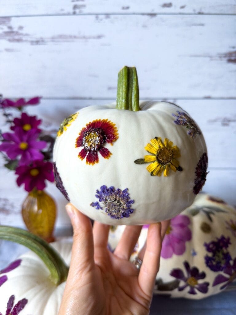 How to Make Pressed Flower Pumpkins: No-Carve Pumpkin Decorating Idea ...