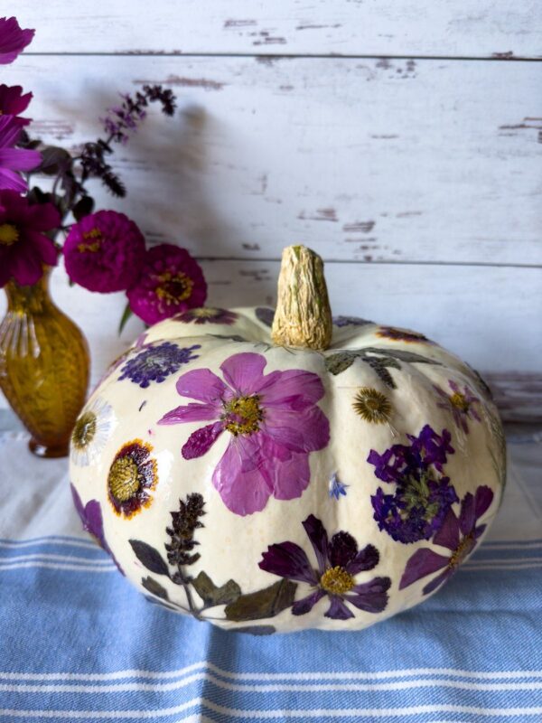 How to Make Pressed Flower Pumpkins: No-Carve Pumpkin Decorating Idea ~ Homestead and Chill