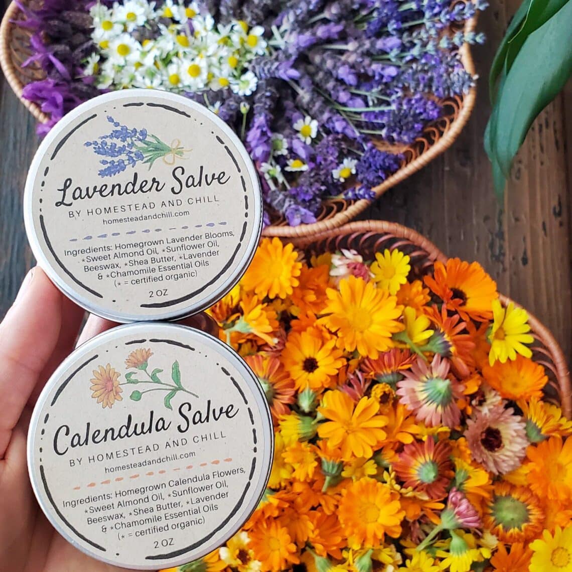 Shop ~ Homestead and Chill