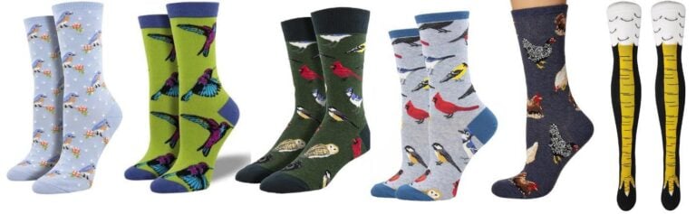 Birding Gift Guide: 20+ Best Gift Ideas for Bird Lovers ~ Homestead and ...