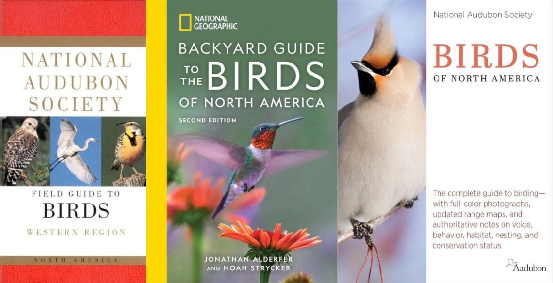 Birding Gift Guide: 20+ Best Gift Ideas for Bird Lovers ~ Homestead and ...