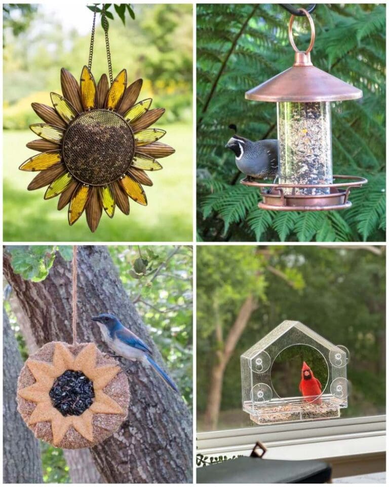 Birding Gift Guide: 20+ Best Gift Ideas for Bird Lovers ~ Homestead and ...