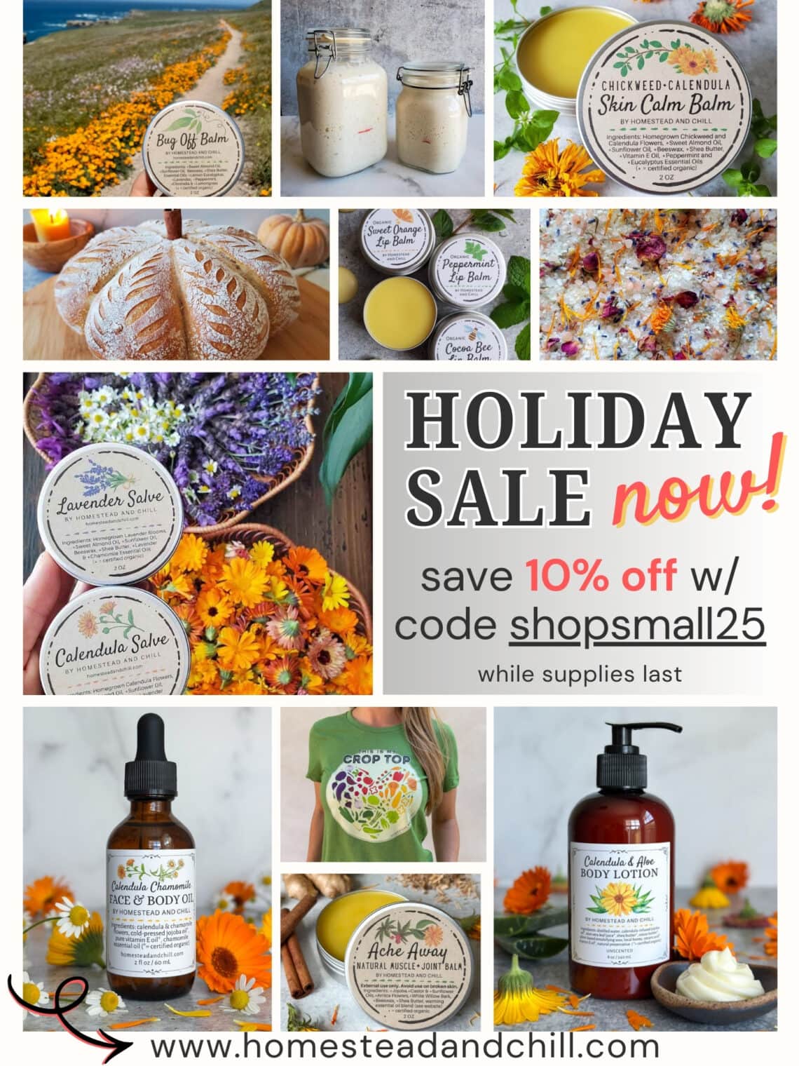 Homestead Gift Guide: 40+ Garden, Kitchen and Green Home Gift Ideas ...