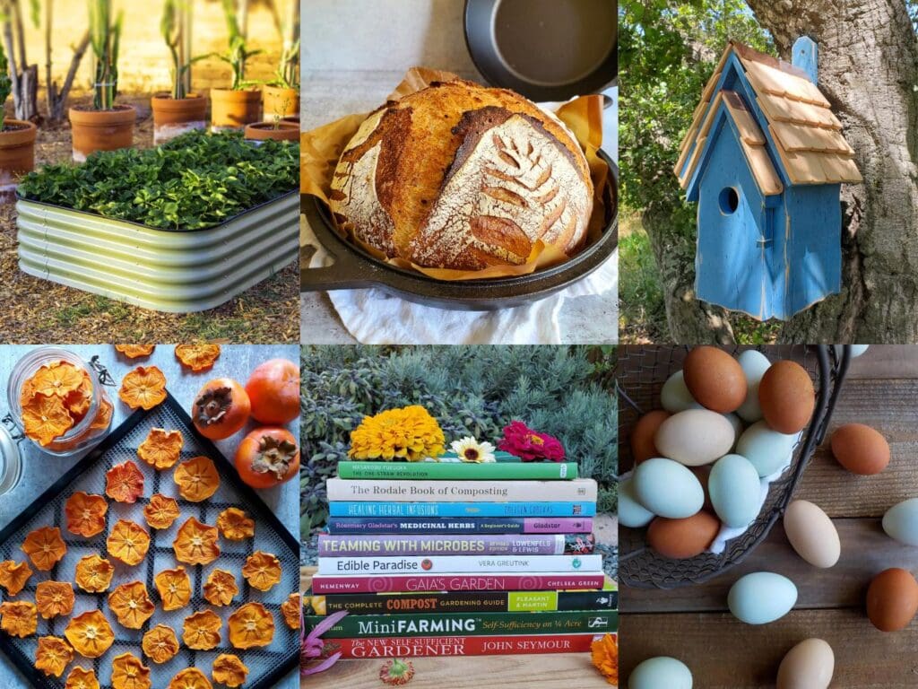 Homestead Gift Guide: 40+ Garden, Kitchen and Green Home Gift Ideas ...