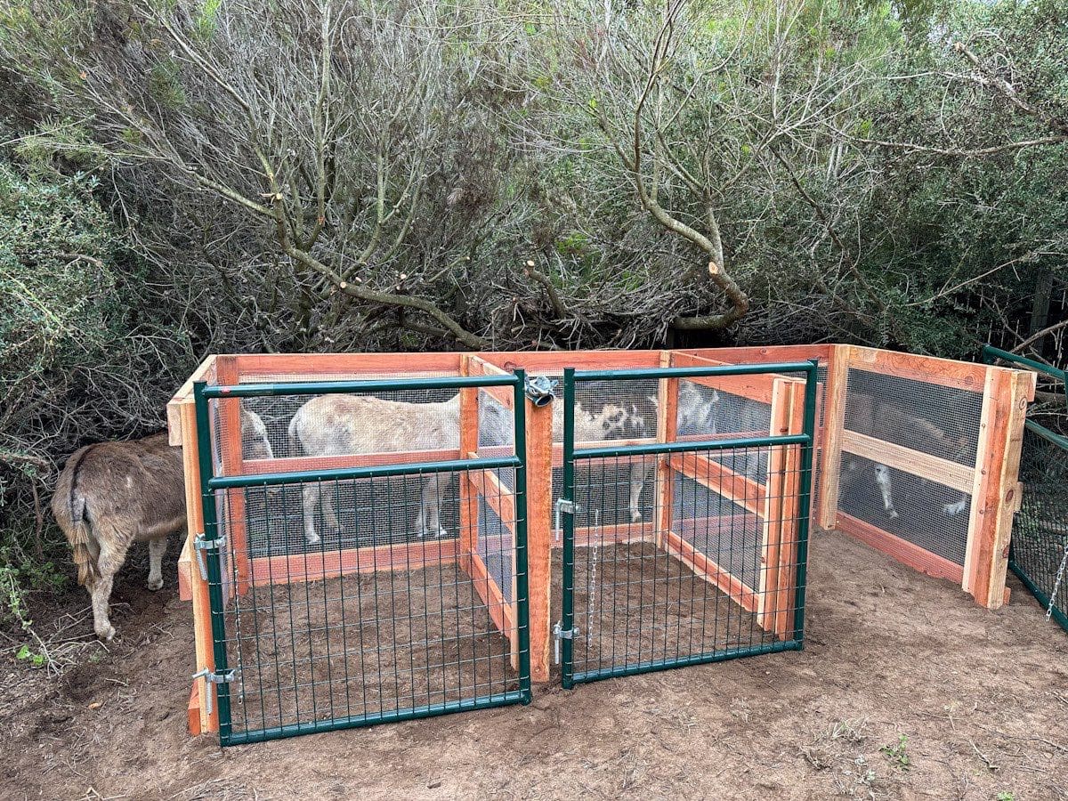 How to Build a Compost Bin: Step-by-Step Guide with Photos ~ Homestead ...