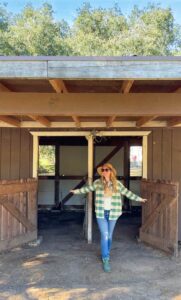 Why We Adopted Miniature Donkeys: Fun Facts, Our Herd & More ...