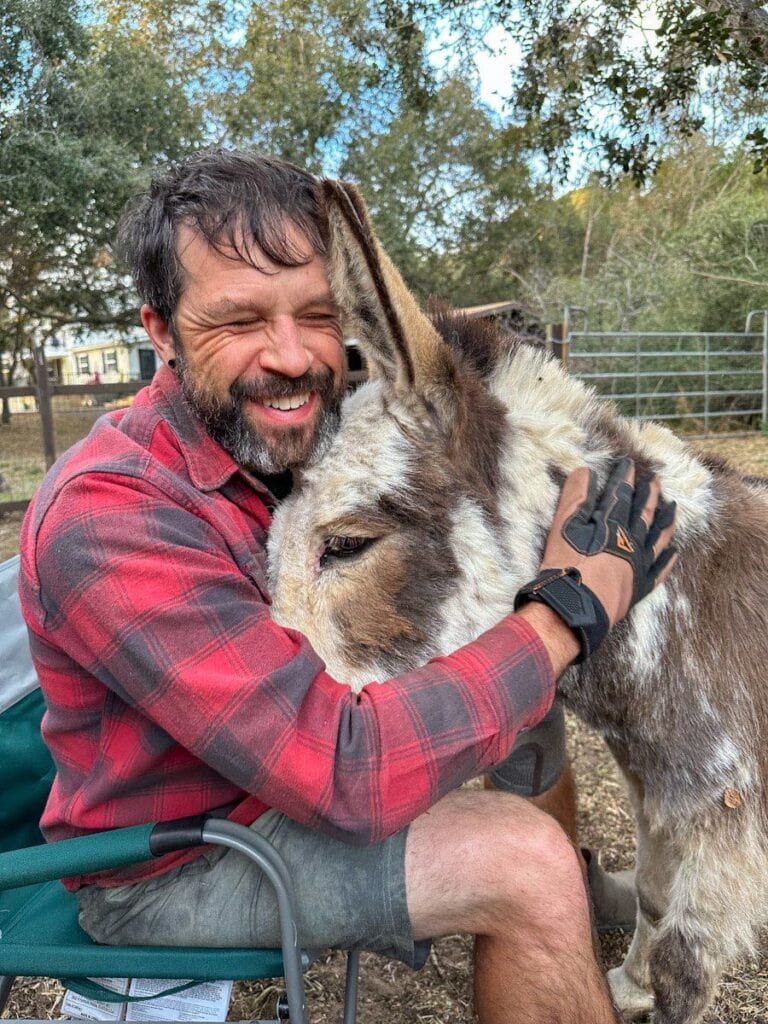 Why We Adopted Miniature Donkeys: Fun Facts, Our Herd & More ...