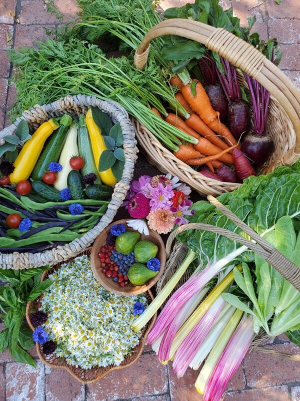 Best Summer Garden Vegetables and Flower Varieties to Grow ~ Homestead ...
