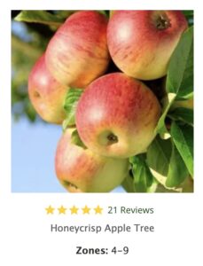 Garden Zones 101: New Hardiness Zone Map, Planting Charts, Limitations ...