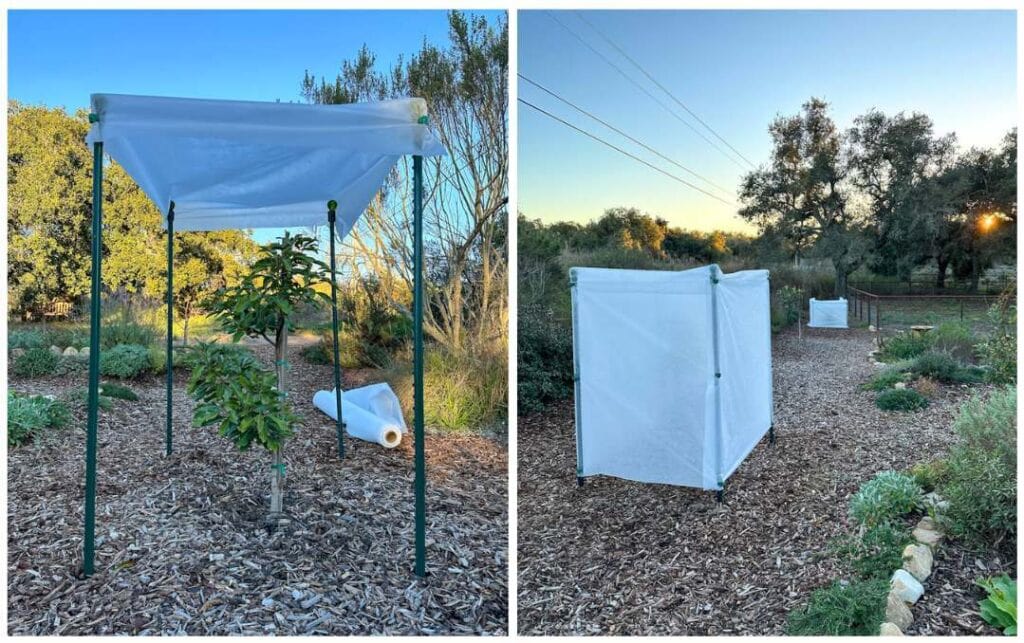 Garden Zones 101: New Hardiness Zone Map, Planting Charts, Limitations ...