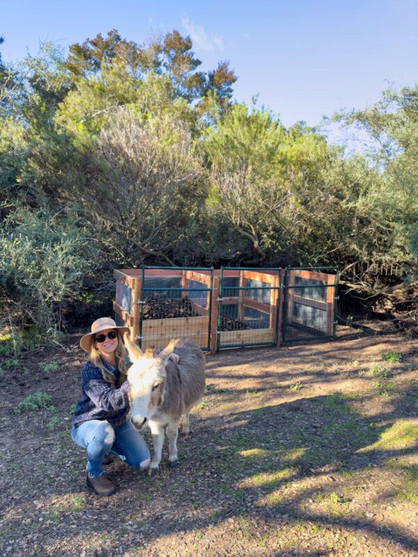How to Build a Compost Bin: Step-by-Step Guide with Photos ~ Homestead ...