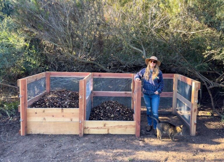 How to Build a Compost Bin: Step-by-Step Guide with Photos ~ Homestead ...