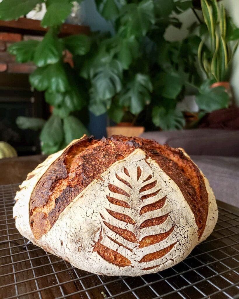 Sourdough Starter Not Rising? 9 Ways to Strengthen Starter ~ Homestead ...