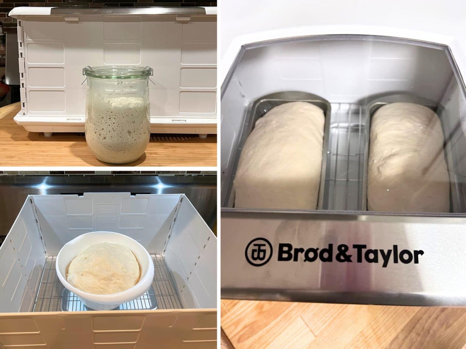 Sourdough Starter Not Rising? 9 Ways to Strengthen Starter ~ Homestead ...