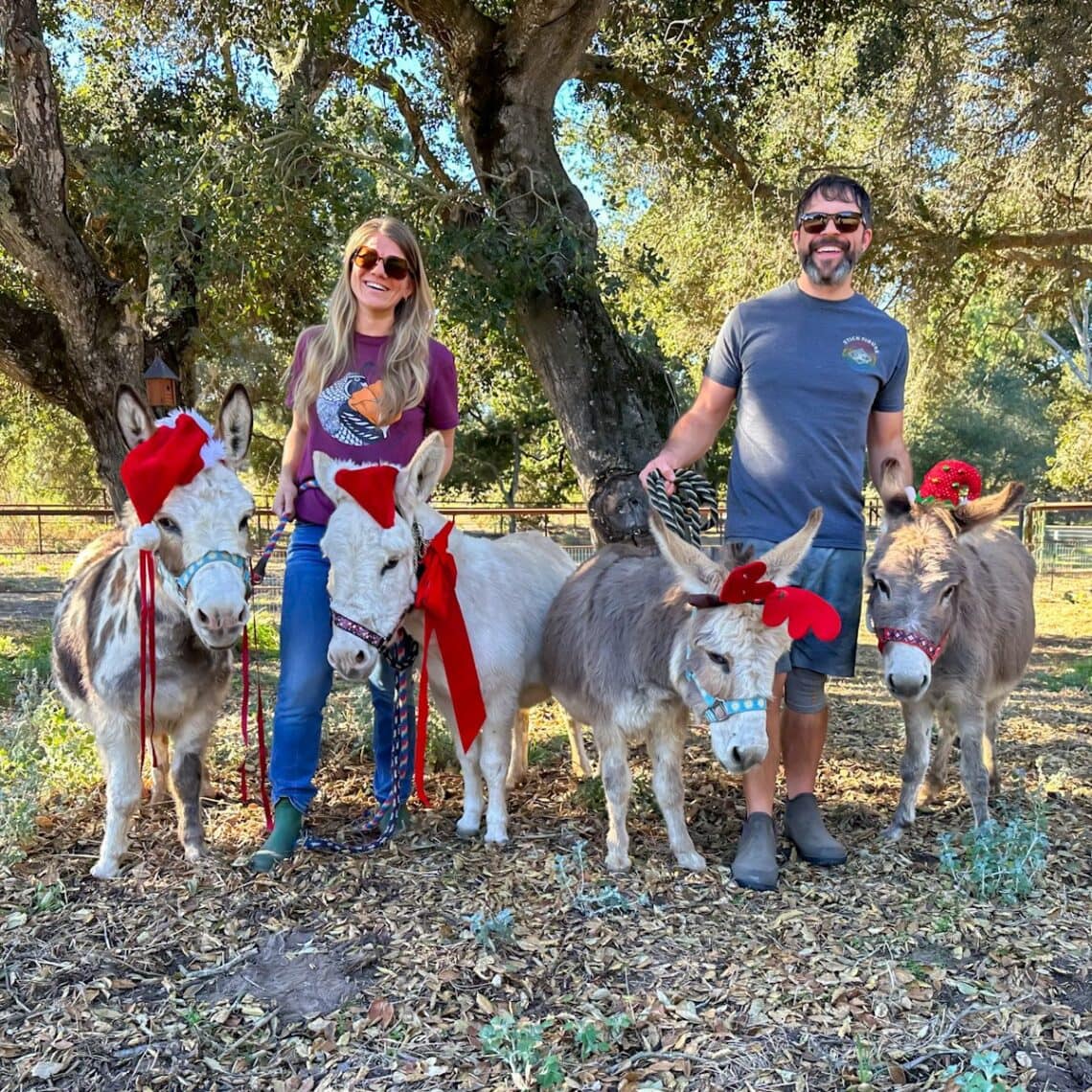 About Deanna Talerico (DeannaCat) ~ Homestead and Chill