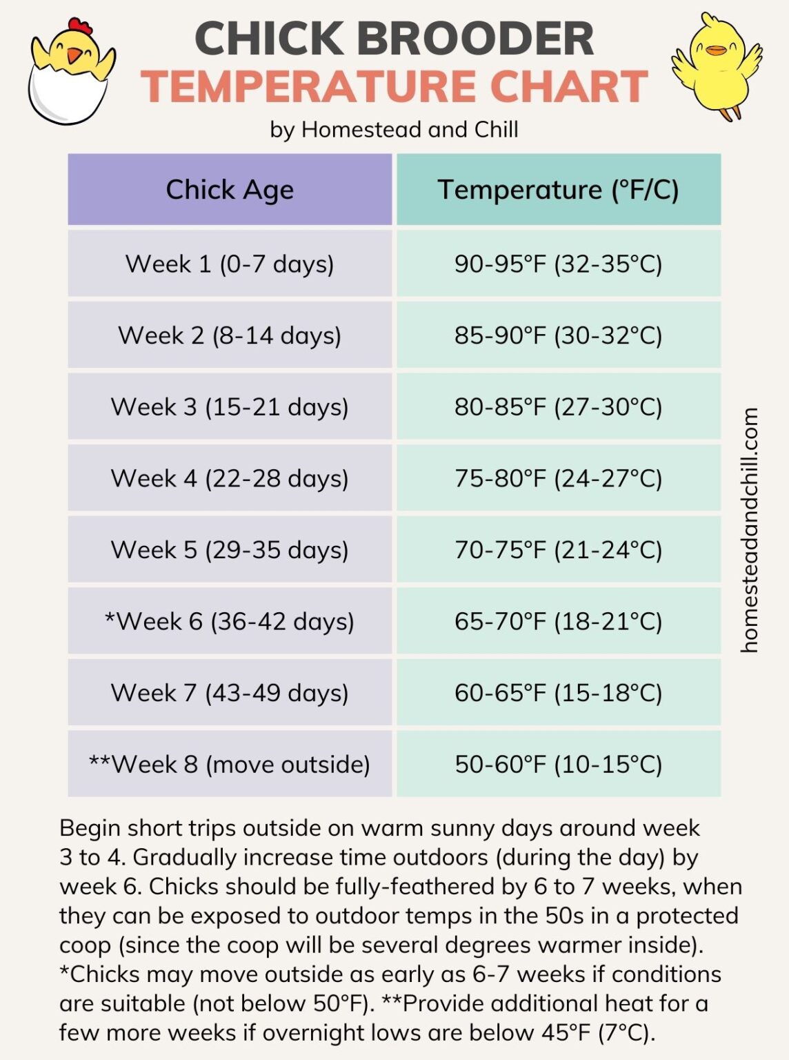 How to Set Up a Chick Brooder: Temperature Chart and Supplies ...