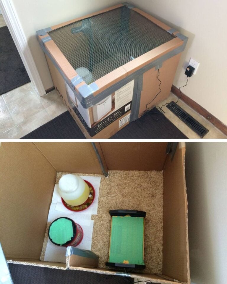 11 Easy DIY Chick Brooder Box Ideas with Photos ~ Homestead and Chill
