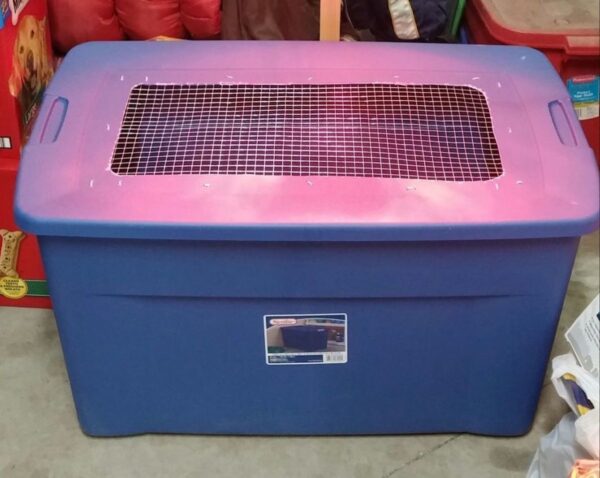 11 Easy DIY Chick Brooder Box Ideas with Photos ~ Homestead and Chill