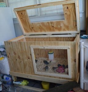 11 Easy DIY Chick Brooder Box Ideas with Photos ~ Homestead and Chill