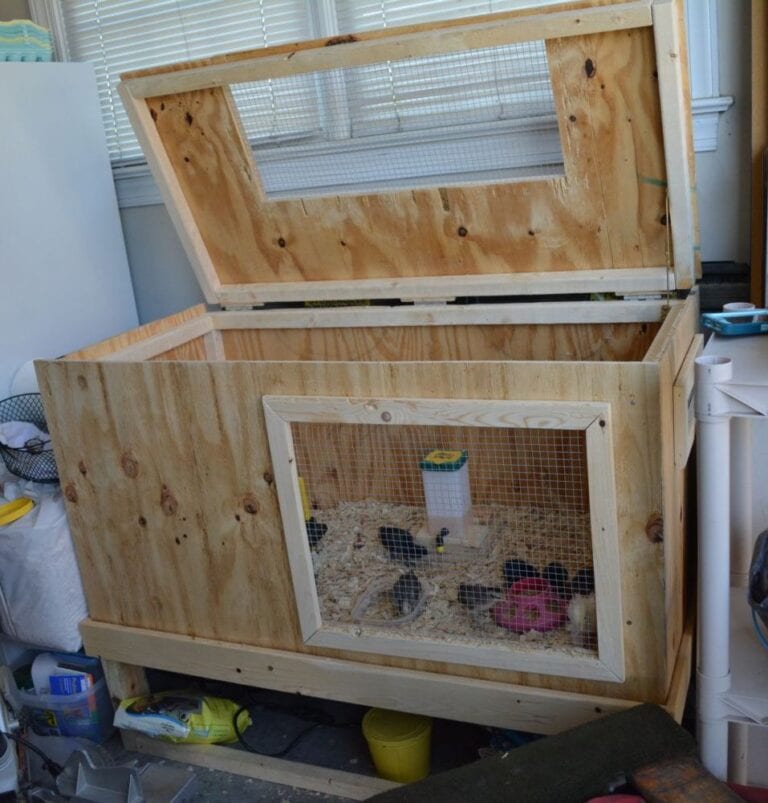 11 Easy DIY Chick Brooder Box Ideas with Photos ~ Homestead and Chill
