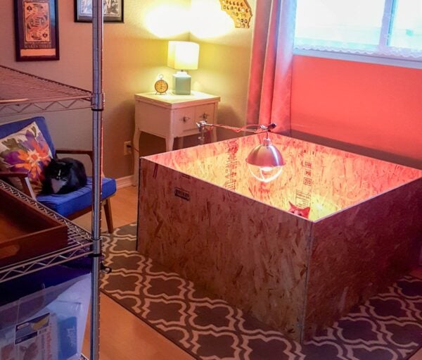 11 Easy DIY Chick Brooder Box Ideas with Photos ~ Homestead and Chill