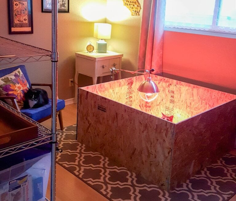 11 Easy DIY Chick Brooder Box Ideas with Photos ~ Homestead and Chill