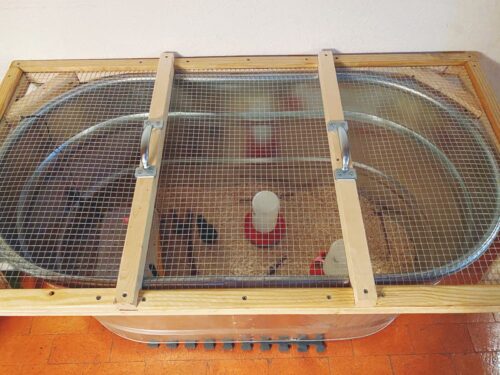 11 Easy DIY Chick Brooder Box Ideas with Photos ~ Homestead and Chill