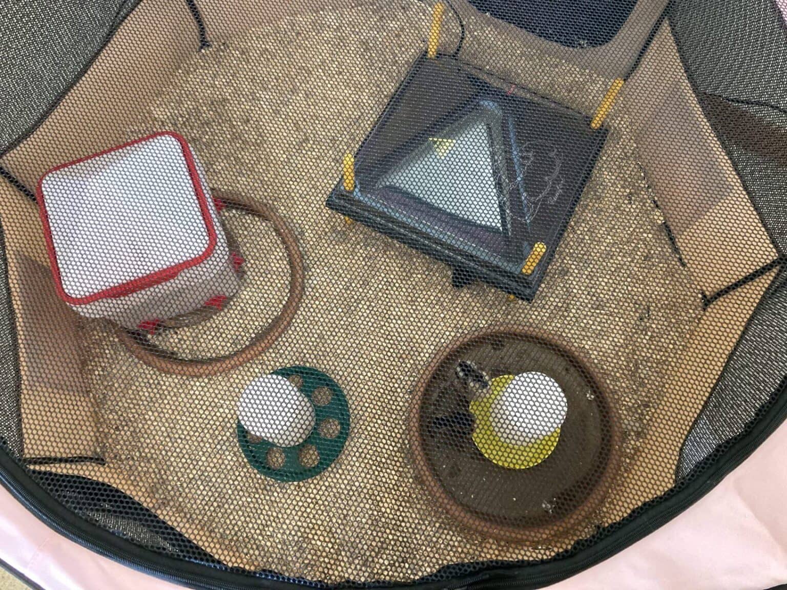 11 Easy DIY Chick Brooder Box Ideas with Photos ~ Homestead and Chill