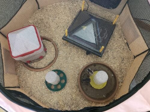 11 Easy DIY Chick Brooder Box Ideas with Photos ~ Homestead and Chill