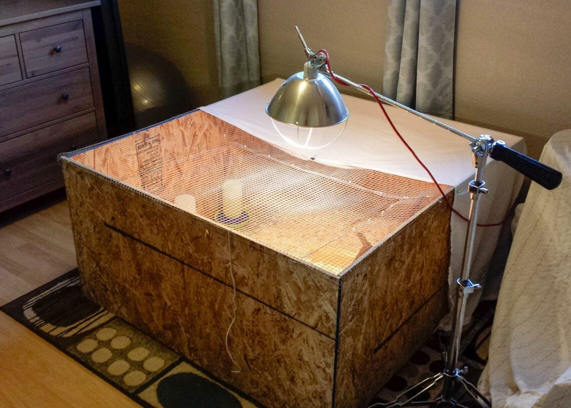 11 Easy DIY Chick Brooder Box Ideas with Photos ~ Homestead and Chill