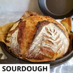 Home ~ Homestead and Chill