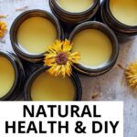 Home ~ Homestead and Chill