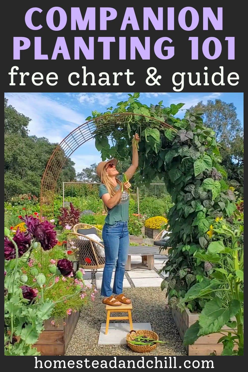 Garden Companion Planting Chart, Plans, and Benefits ~ Homestead and Chill