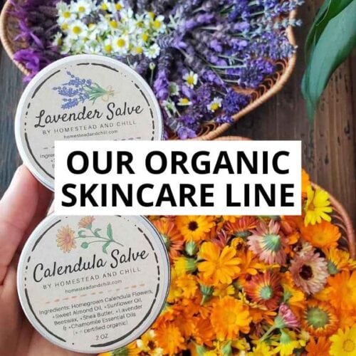 Subscribe ~ Homestead and Chill