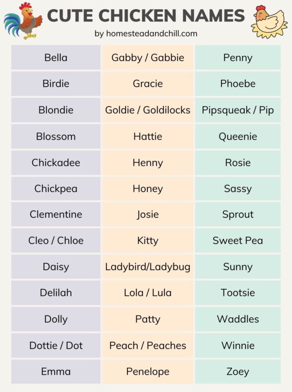 500+ Best Chicken Names: Funny, Cute, Unique, Puns and More ~ Homestead ...