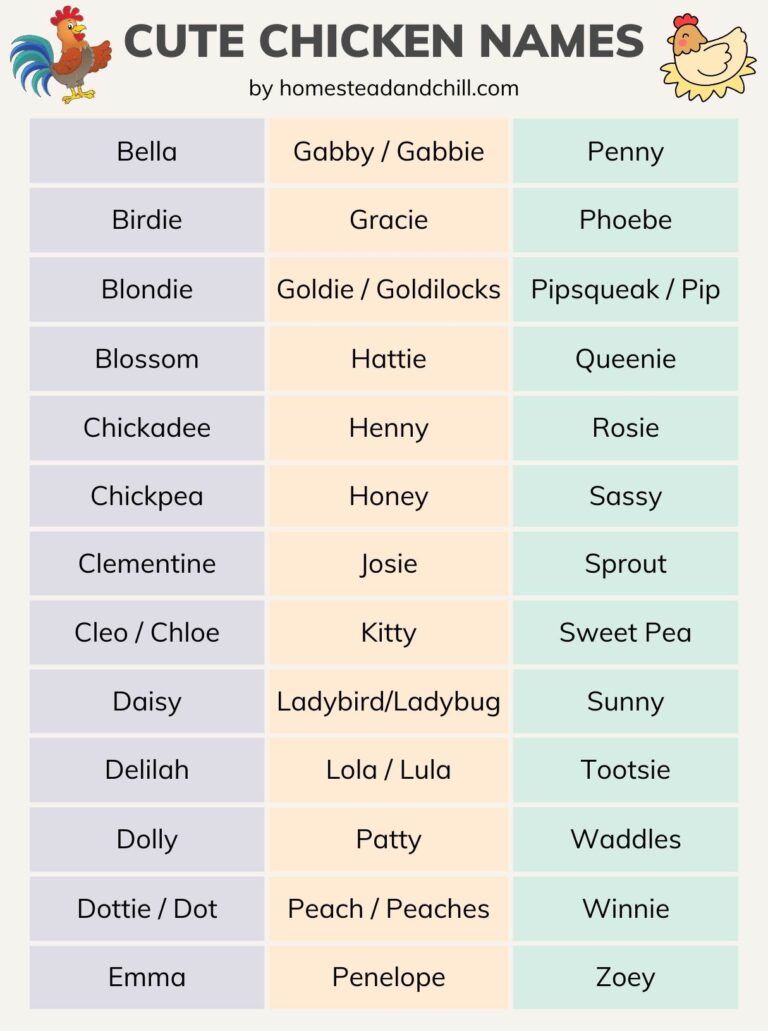 500+ Best Chicken Names: Funny, Cute, Unique, Puns and More ~ Homestead ...