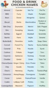 500+ Best Chicken Names: Funny, Cute, Unique, Puns and More ~ Homestead ...
