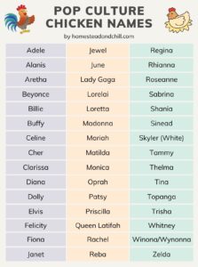 500+ Best Chicken Names: Funny, Cute, Unique, Puns and More ~ Homestead ...