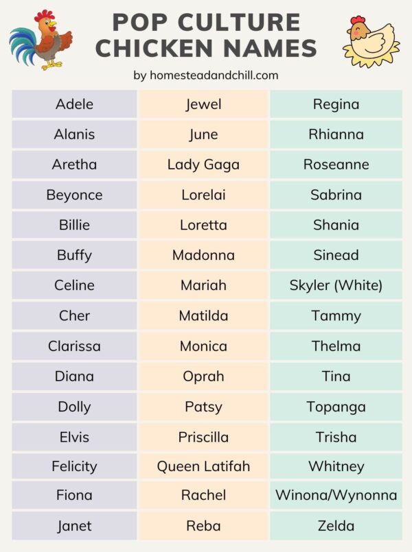 500+ Best Chicken Names: Funny, Cute, Unique, Puns and More ~ Homestead ...